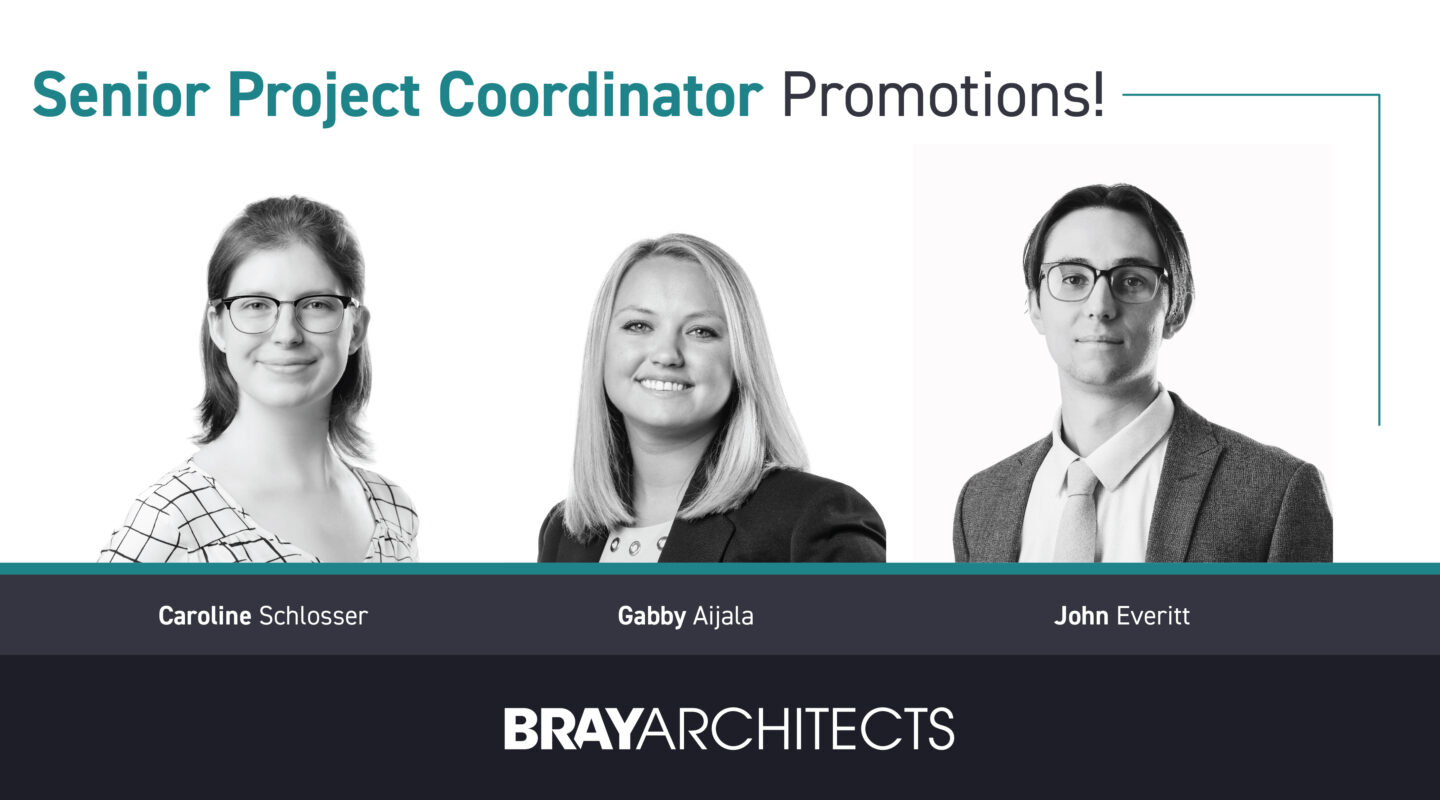 Moving + Shaping Bray | Bray Architects